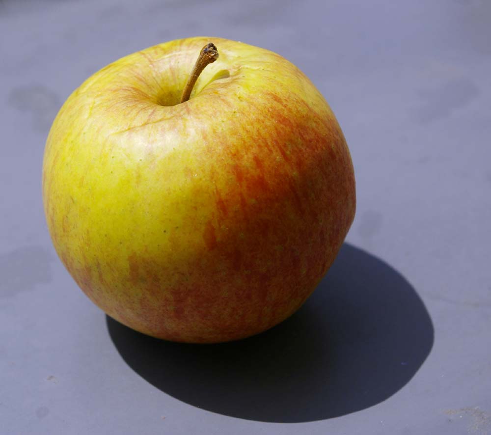 Martin Robinson's art lessons